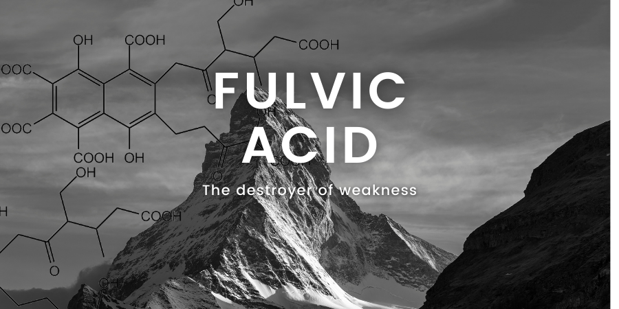 5 Surprising Benefits of Shilajit Fulvic Acid You Need to Know ...